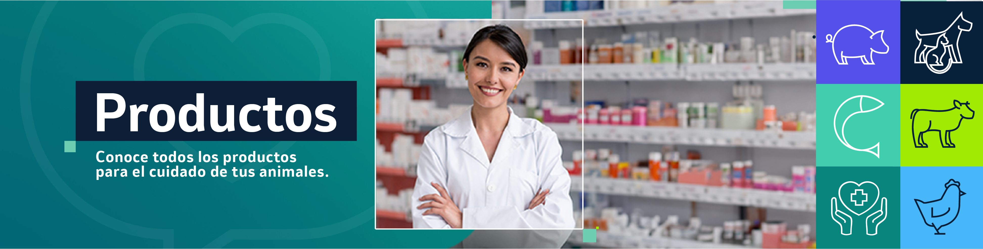 Productos veterinarios MSD Salud Animal